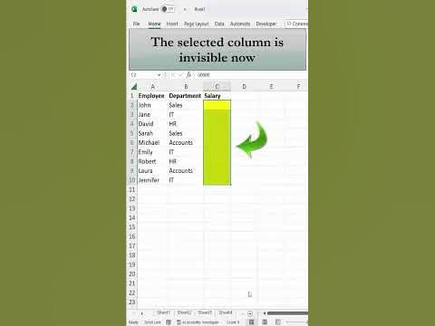 How to Make Data Invisible in Excel - YouTube