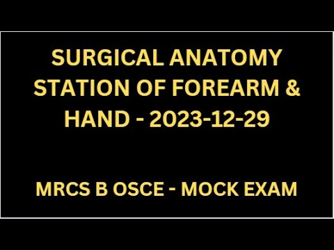 SURGICAL ANATOMY STATION OF FOREARM & HAND - YouTube