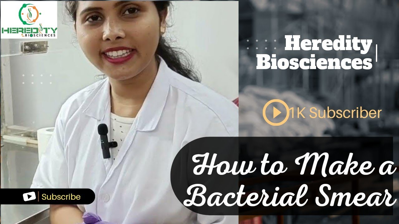 How to Make a Bacterial Smear। Slide Preparation| Smear making ...
