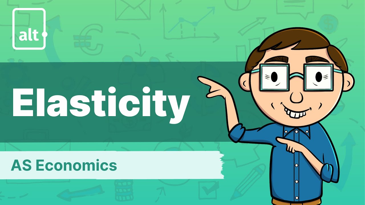 PED and Consumer Surplus | Elasticity | A Level Economics 9708 - YouTube