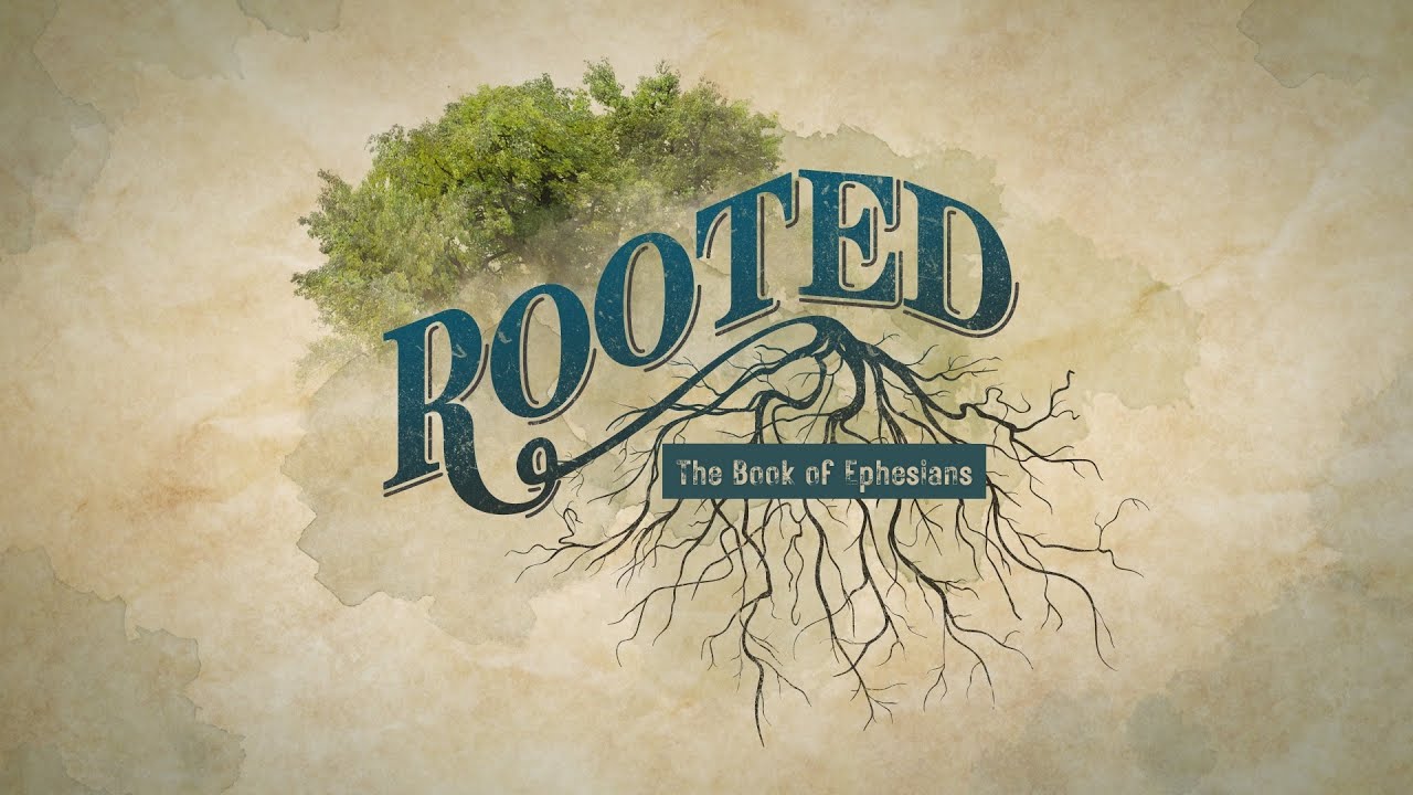 "Rooted" - week 8 - "Rooted in the Light" - YouTube