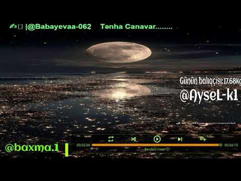 Tik Tok Azerbaycan 7/24 canli yayin