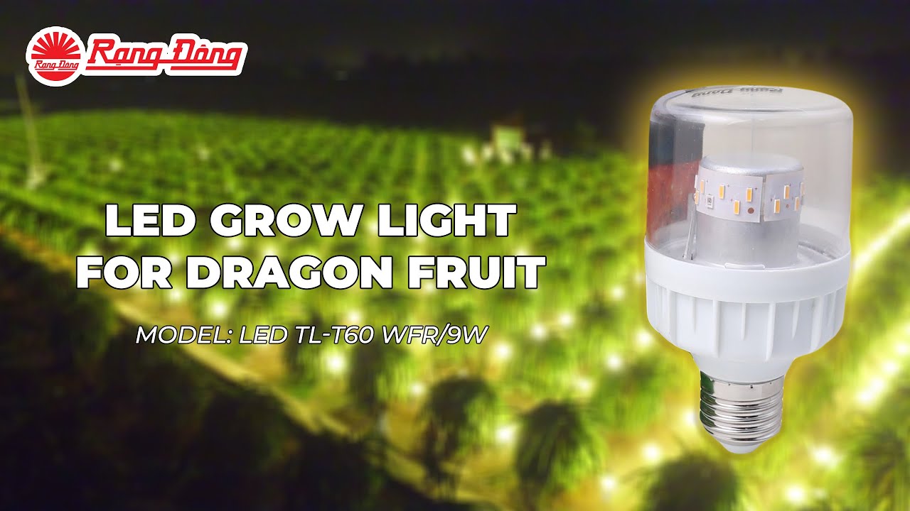 Rang Dong Lighting || LED Growlight for Dragon Fruit - YouTube