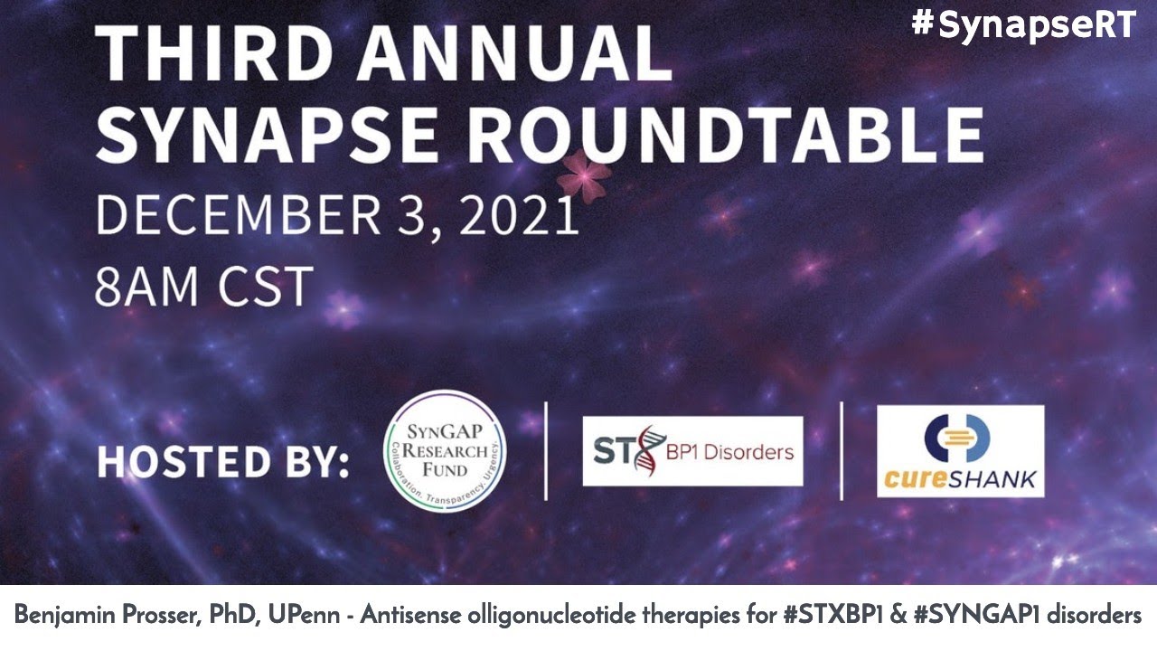 3rd Annual Synapse Roundtable, Ben Prosser, PhD, UPenn - Antisense ...