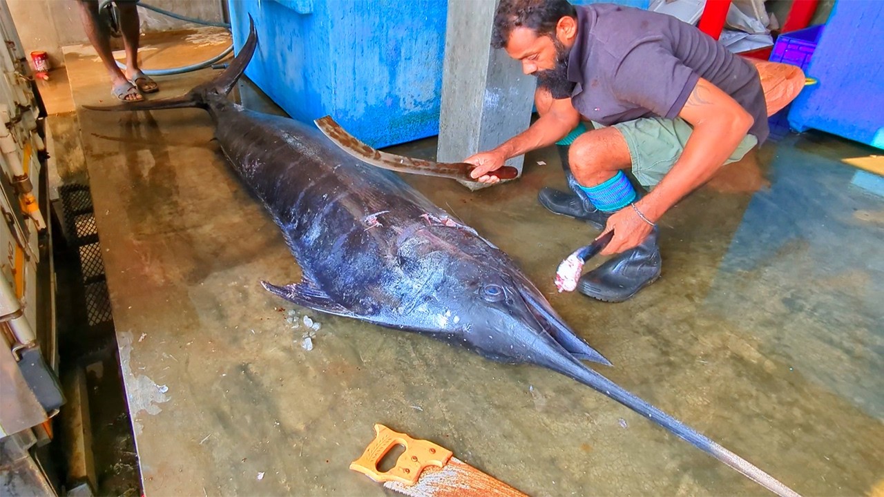 NEVERSEEN😱 Attractive !! 300KG GIANT BLACK MARLIN FISH CUTTING ...
