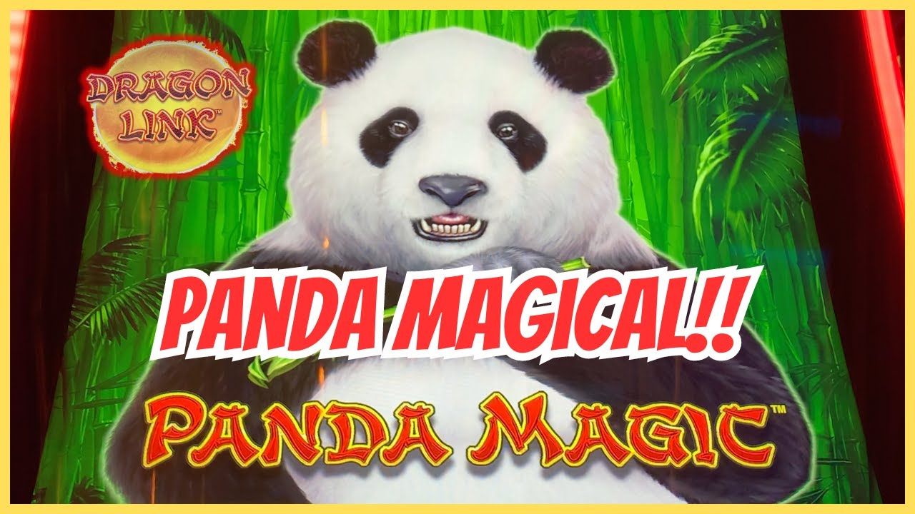 Panda Magic Gave Me a Wake-Up Call!🍀Early Morning Gambling on Dragon ...