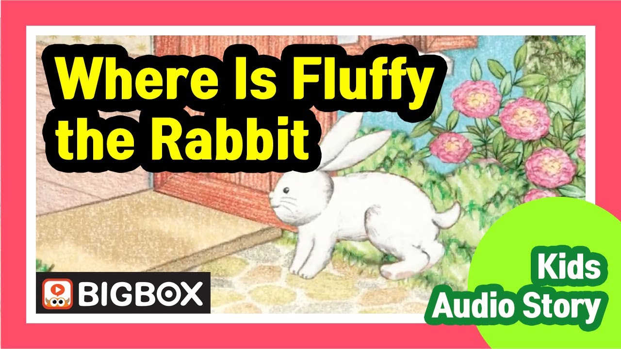 Where Is Fluffy the Rabbit | English Fairy Tales | Story | BIGBOX - YouTube