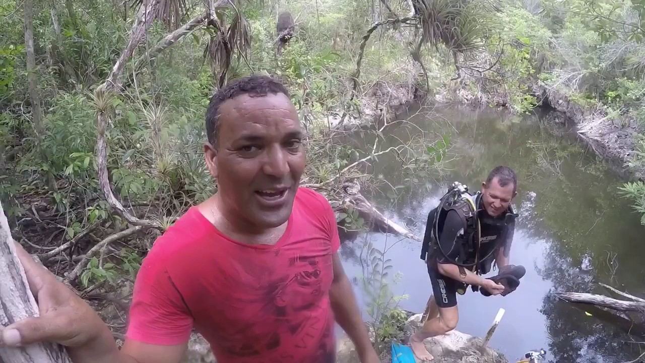 El sapo 2016 (CUBA) - YouTube