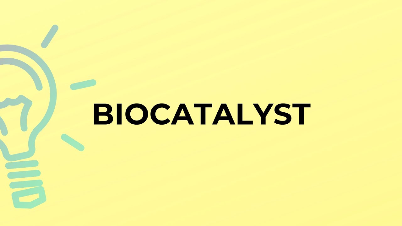 What is the meaning of the word BIOCATALYST? - YouTube