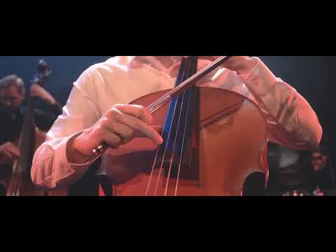 Prague Cello Quartet   Promo Video