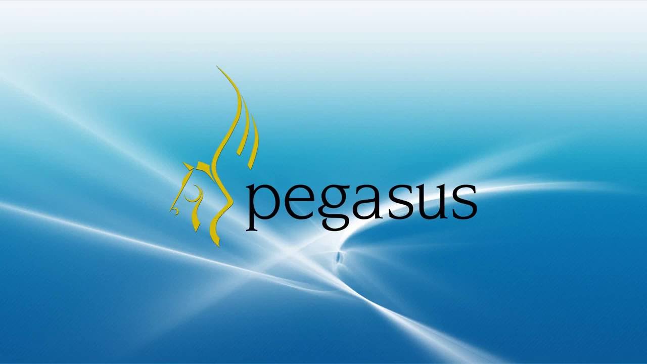 Pegasus Opera 3 - Business Software Overview from PCI Monpellier - YouTube