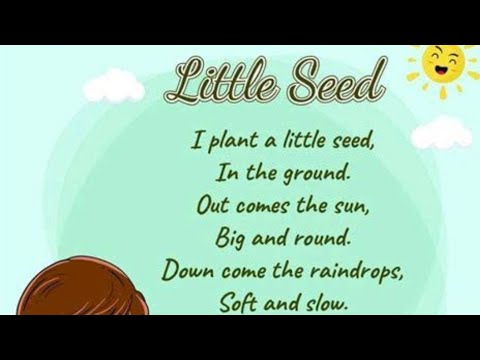 Rhyme | Little Seed | Nursery Kg First Class English Rhyme | Kids ...