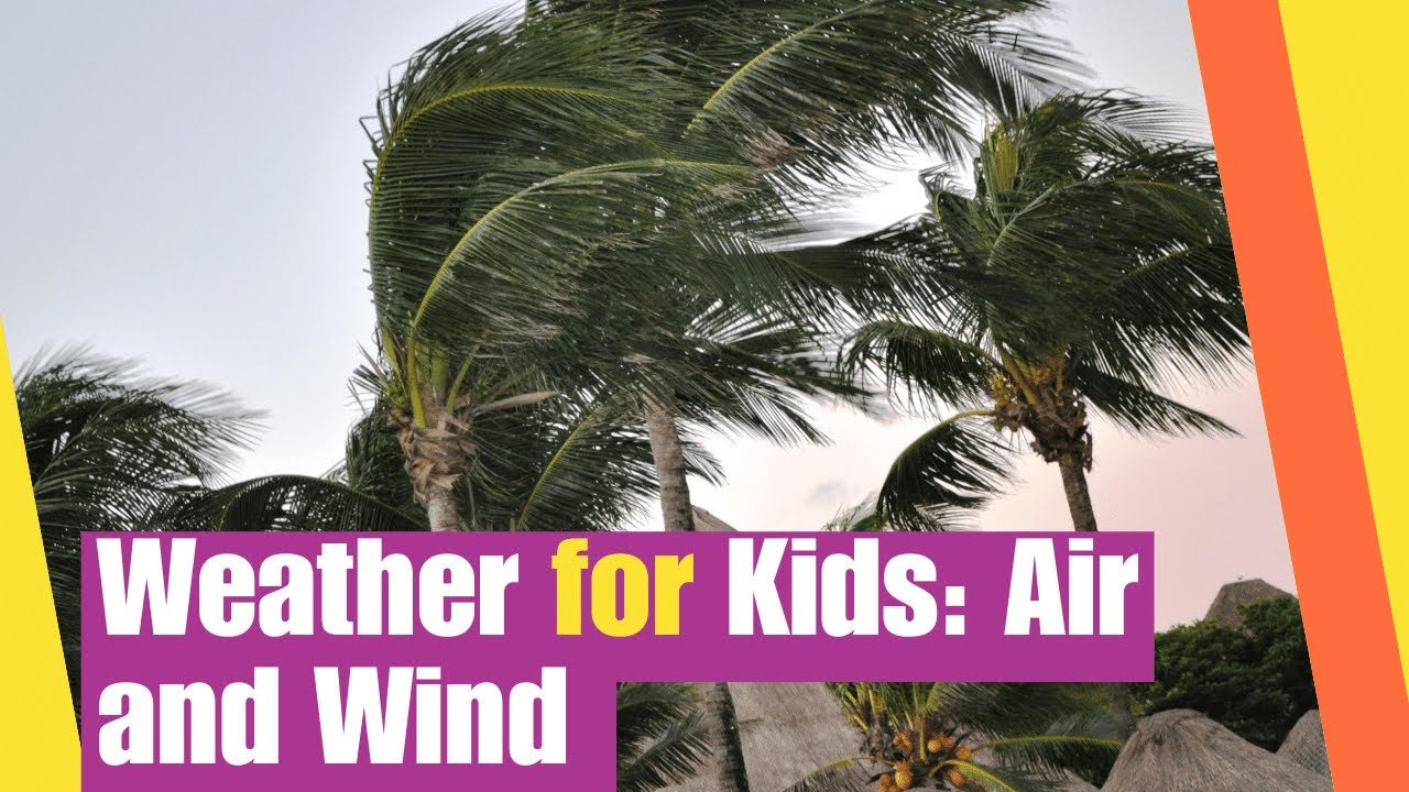 Weather for Kids | Learn About Air and Wind for Grades K to 2 | Lesson ...