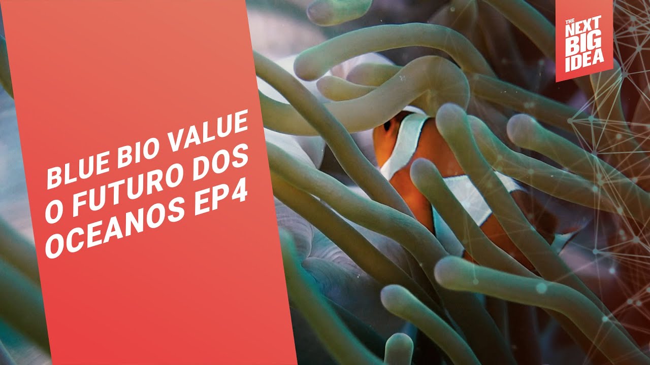The Next Big Idea | Bioeconomia Azul by Blue Bio Value (EP4) - YouTube