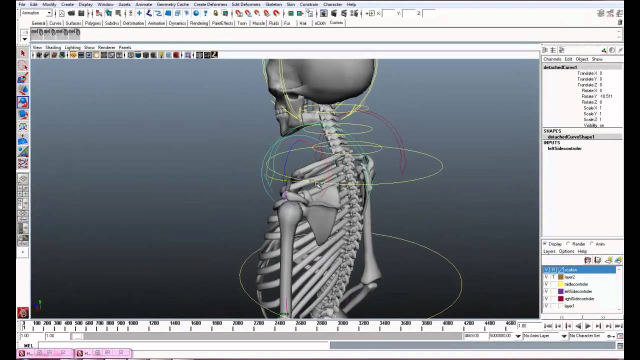 skeleton dynamic rig - YouTube