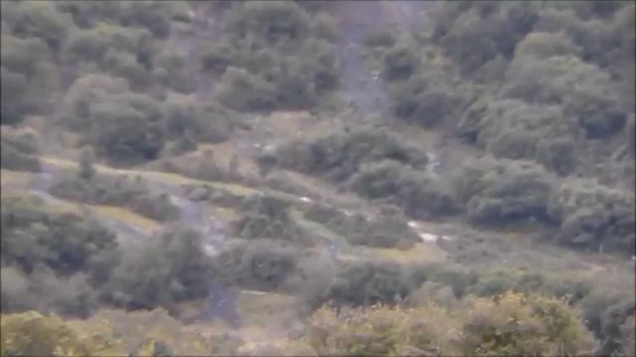 ΚΥΝΗΓΙ ΛΑΓΟΥ.ΤΡΕΛΟ ΞΕΦΩΛΙΑΣΜΑ. - YouTube