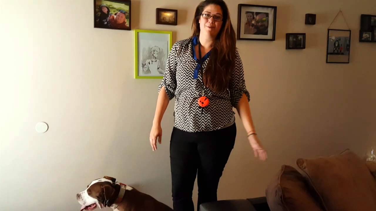 Zeus Owner Testimonial - YouTube