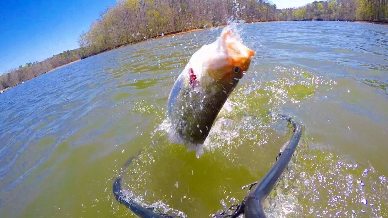 Kickin Their Bass Tv Trailer ~ Action Packed - YouTube