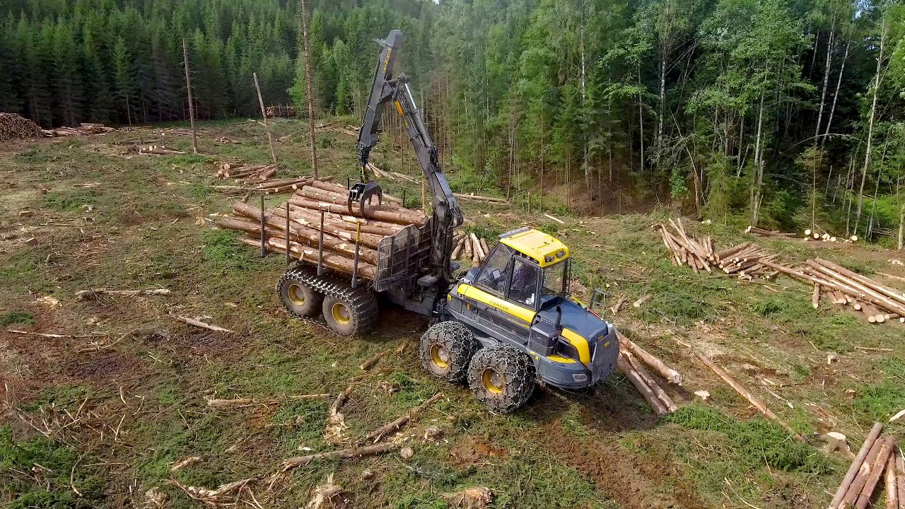 Ponsse Elephant King AF K100M+ - Big machine at work in Norway - 4k ...