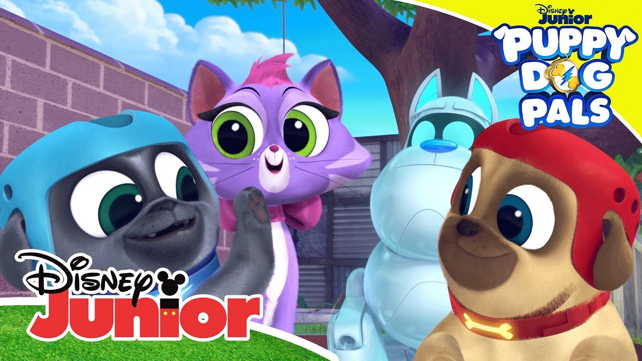 🎁 Boxing Day! | Puppy Dog Pals | Disney Kids - YouTube