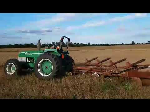 White American 80 FWA and Oliver 1755 plowing - YouTube