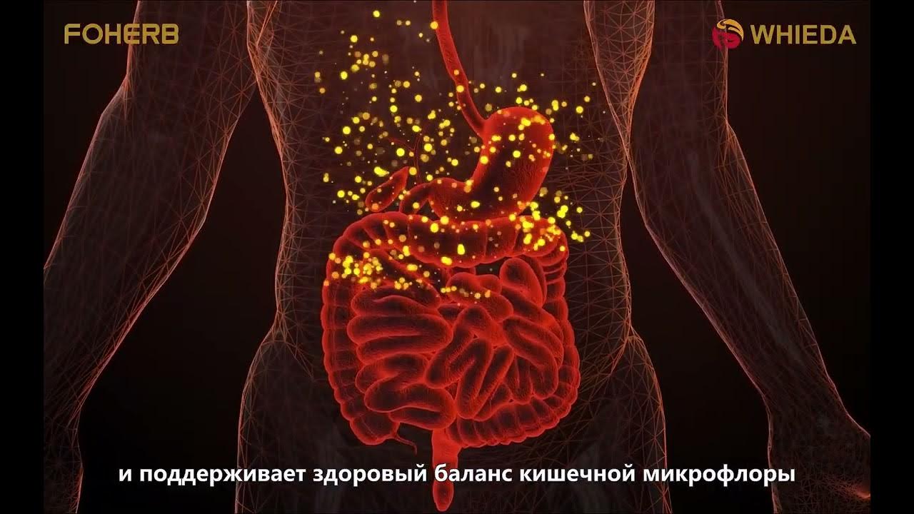 WHIEDA - Кофе с Кордицепсом и Коллагеном - YouTube