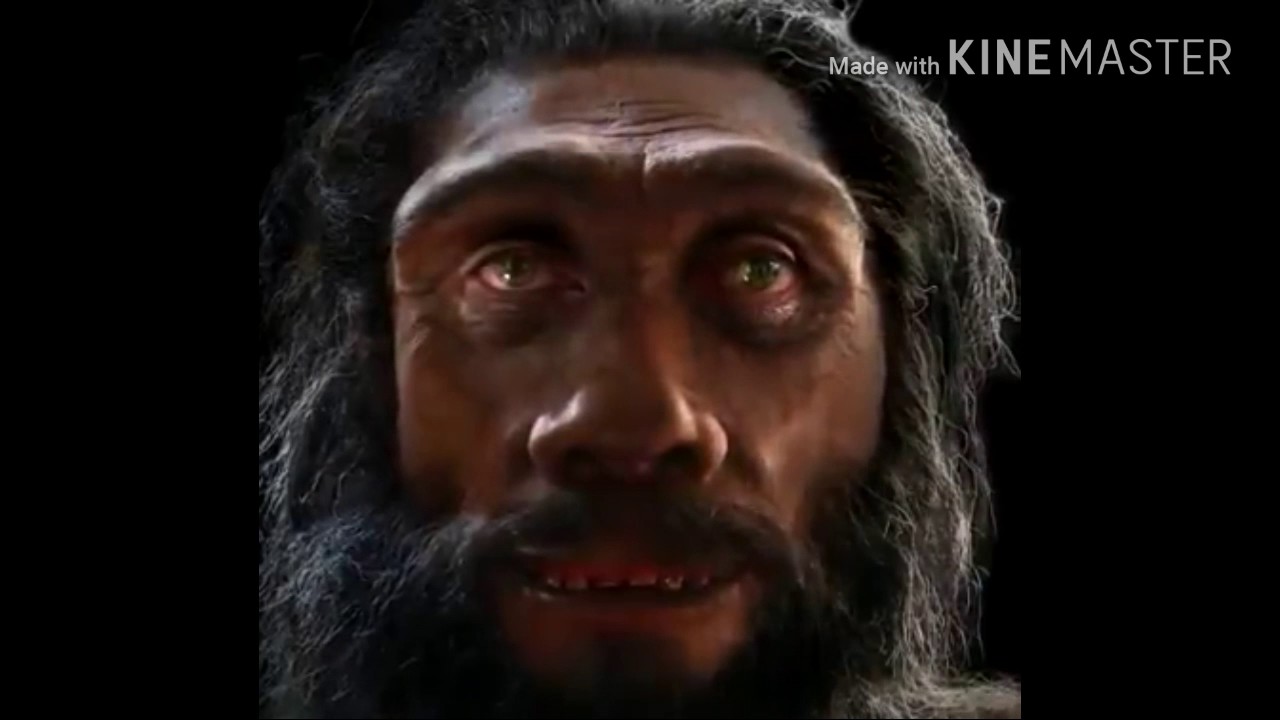 Transformation of Human - YouTube