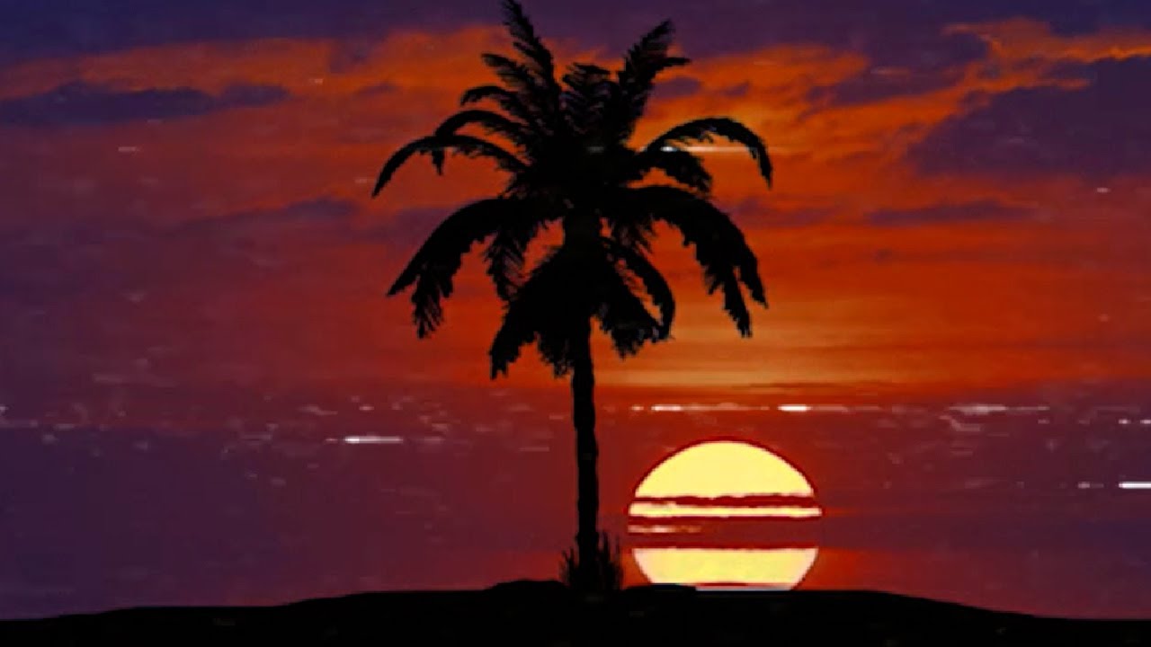 Palm Video - YouTube