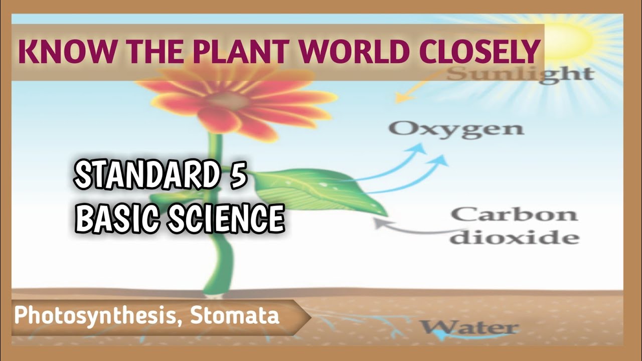 CLASS-5 BIOLOGY CHAPTER-1 KNOW THE PLANT WORLD CLOSELY PART-1 KERALA ...
