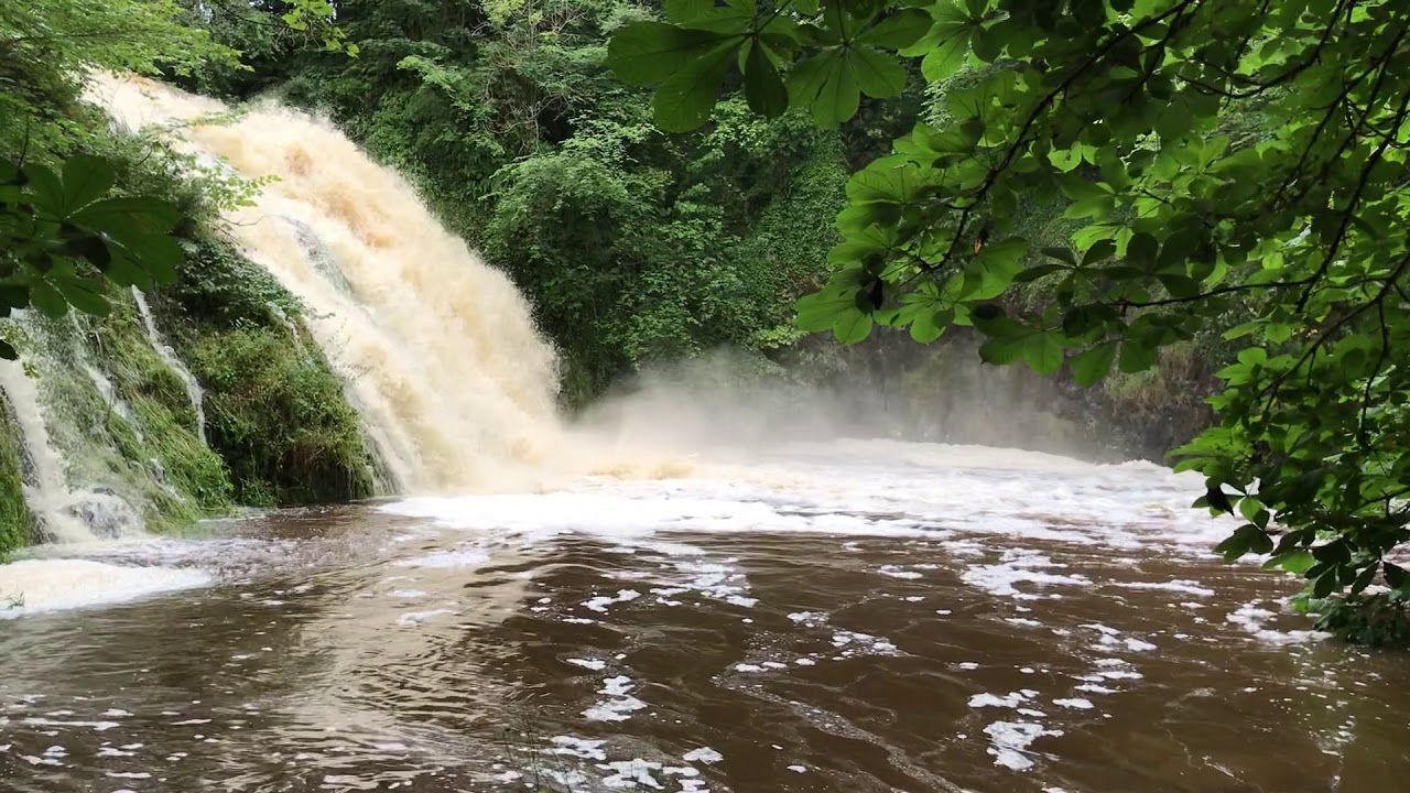 🏴󠁧󠁢󠁳󠁣󠁴󠁿 Stichill Linn Waterfall - discover this hidden beauty deep in ...