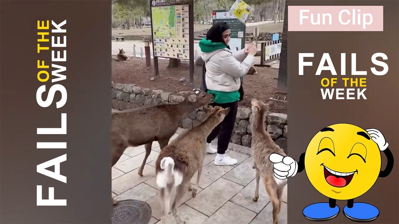 Funny Fails | A Story Of Funny Peoples Life | Try Not to Laugh ...