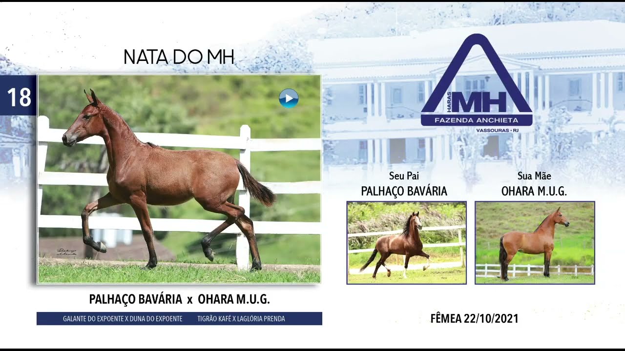 18 Nata do MH - YouTube