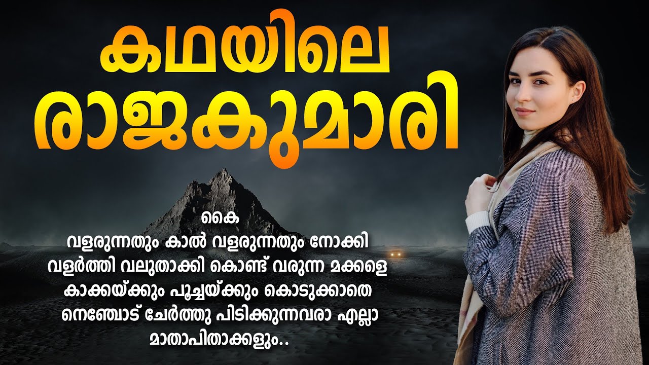 കഥയിലെ രാജകുമാരി SHAHUL MALAYIL MALAYALAM STORY - YouTube