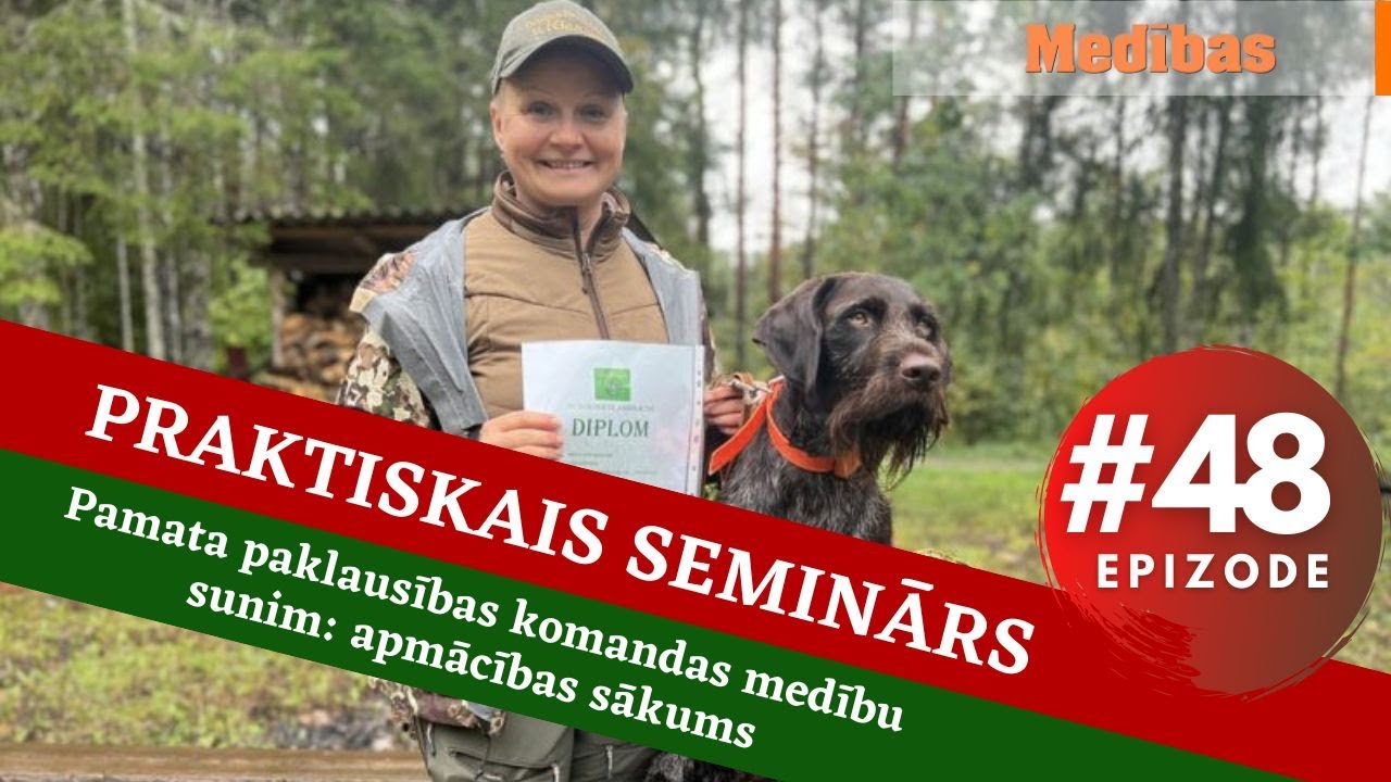 Pamata paklausības komandas medību sunim: apmācības sākums. Praktiskais ...