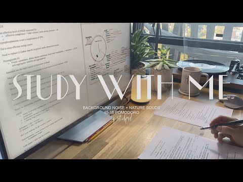 3-Hour Study With Me 🖊️ | Background Noise | No Music | Rain Sounds | Pomodoro 45/15