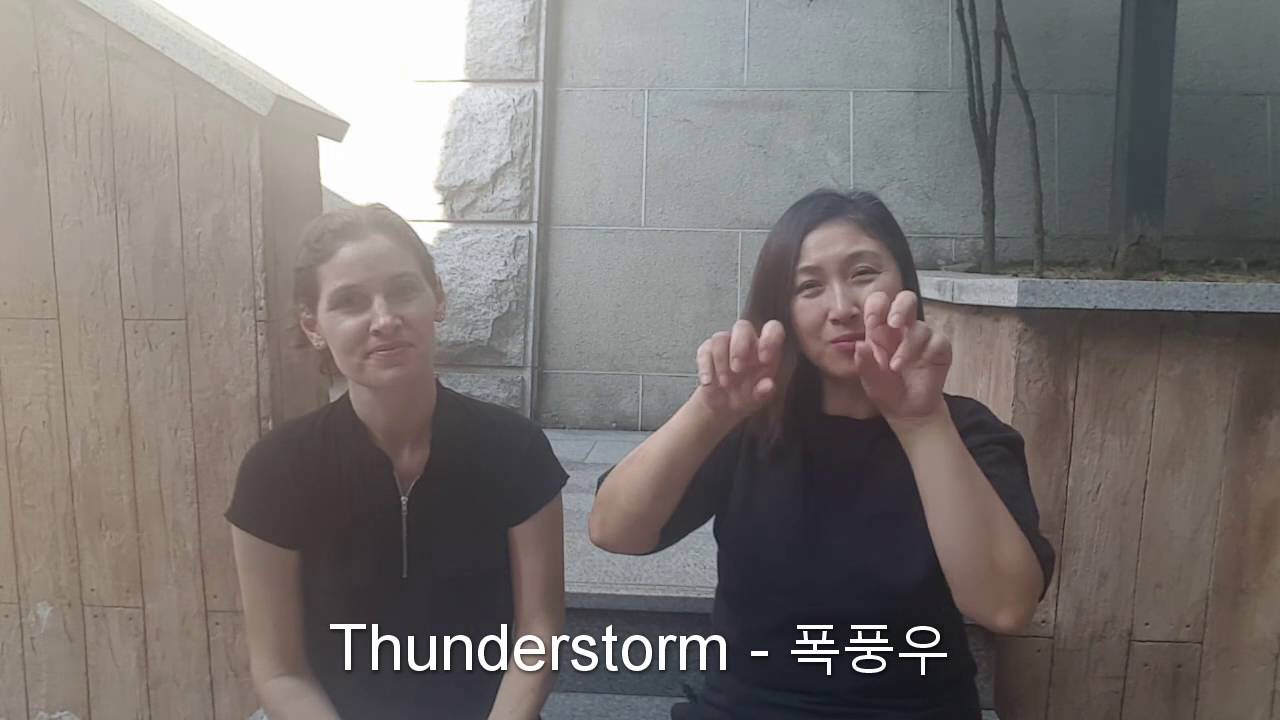 Susan & Eunsun Chapter 6 American & Korean Sign Languages - YouTube