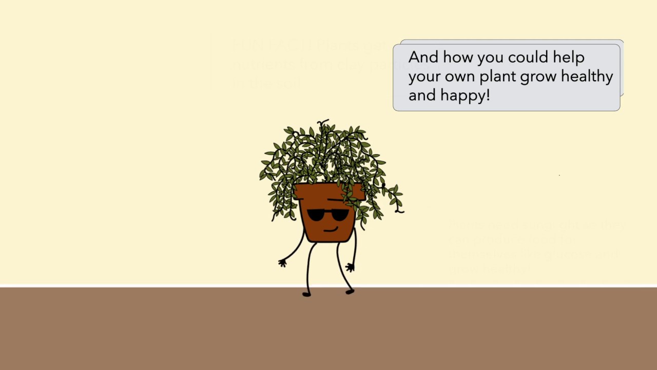 Unit 03: How to Grow a Plant Animation - YouTube