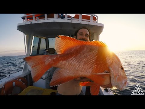 TURKEY BEACH- RED EMPEROR,NANNYGI,BARCHEEK TROUT