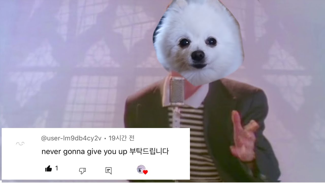 Dog sings "NEVER GONNA GIVE YOU UP" (audio only) - YouTube