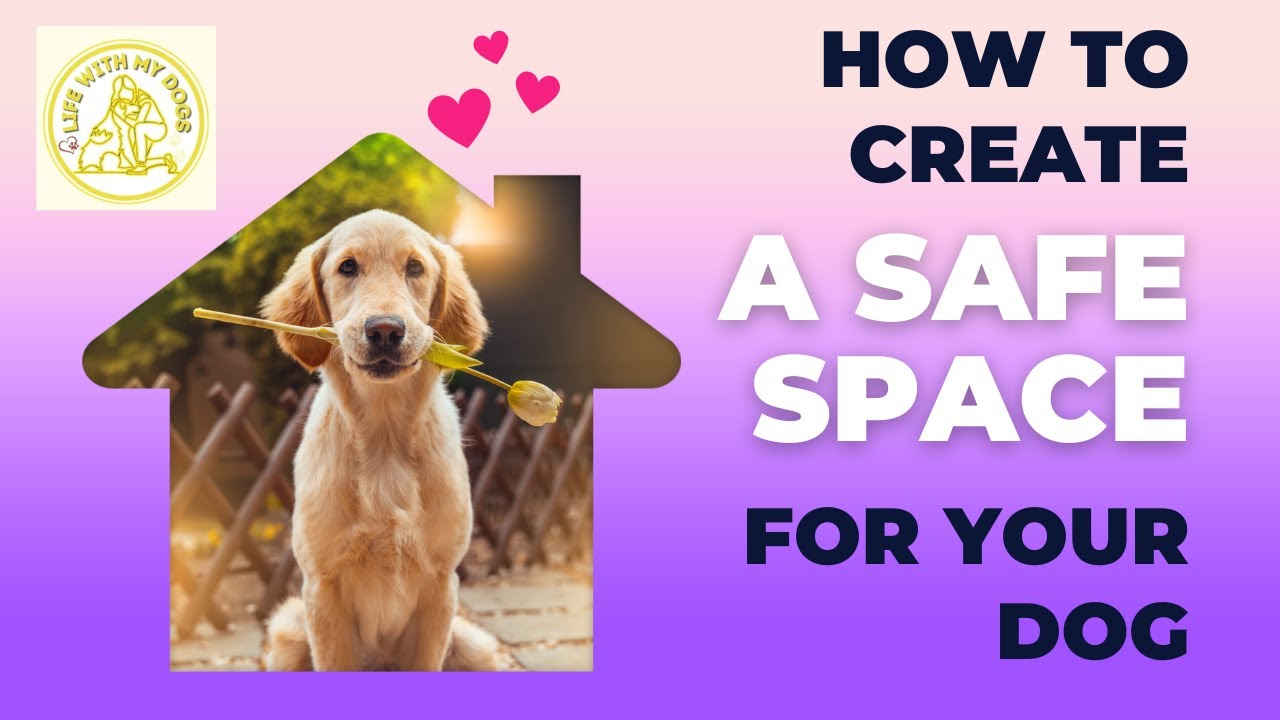 How To Create A Safe Space For Your Dog - YouTube