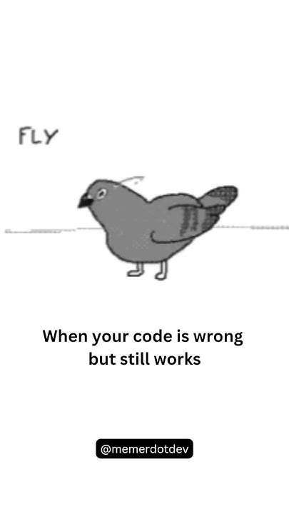 When Your Code Is Wrong But Still Works Csmemes Codingmemes Programmingmemes Youtube