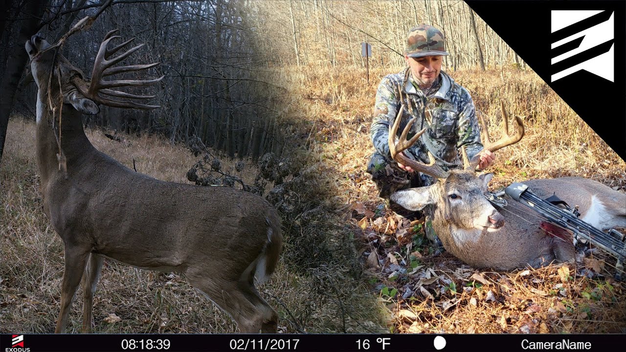 The Right DEER SIGN To Look For Post Season Scouting! - YouTube