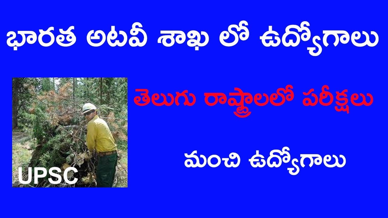IFS jobs in 2018 || IFS job news || Indian Forest Service jobs in 2017 ...