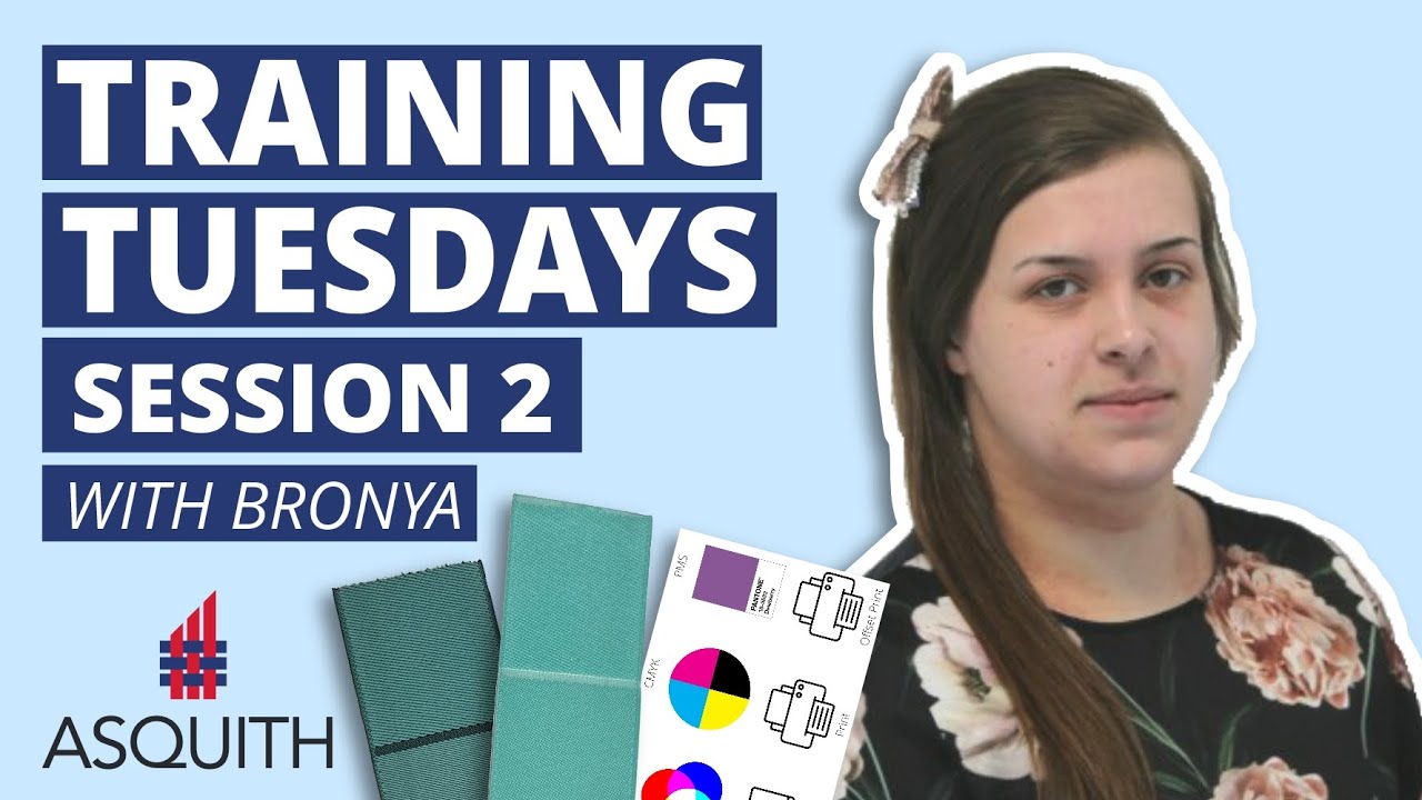 CHOOSING COLOURS (Session 20) | TRAINING TUESDAY - YouTube