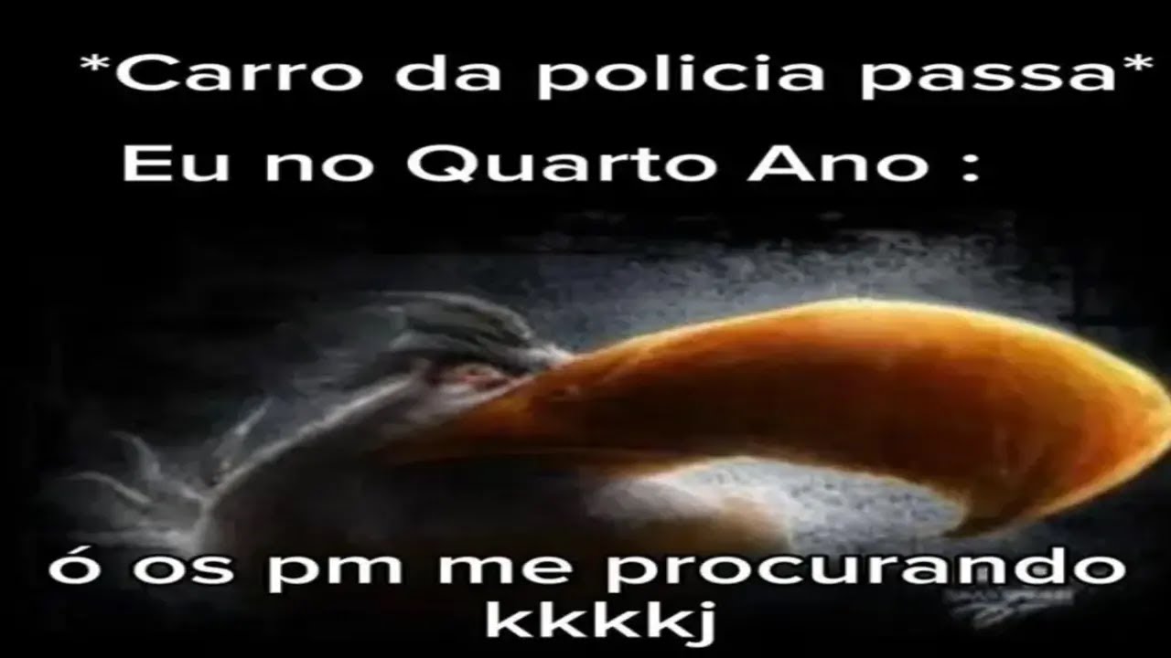 compilado de shitpost #15 - YouTube