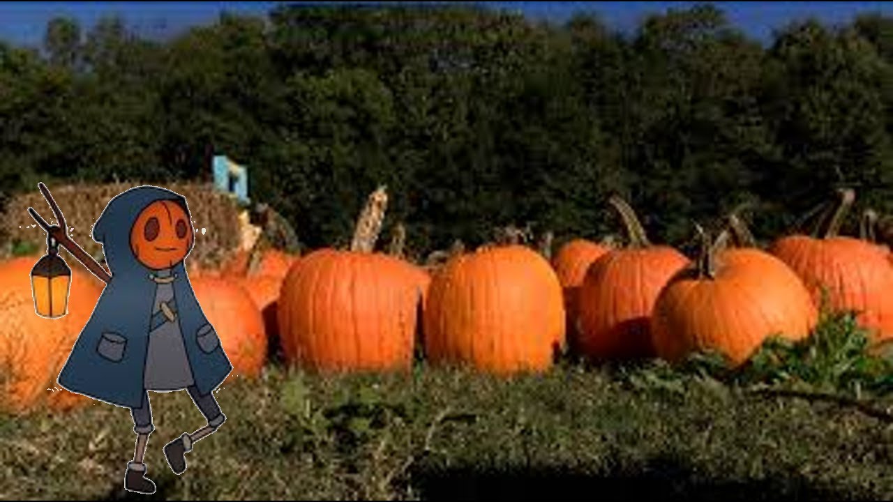 Pumpkin Panic .1 - YouTube