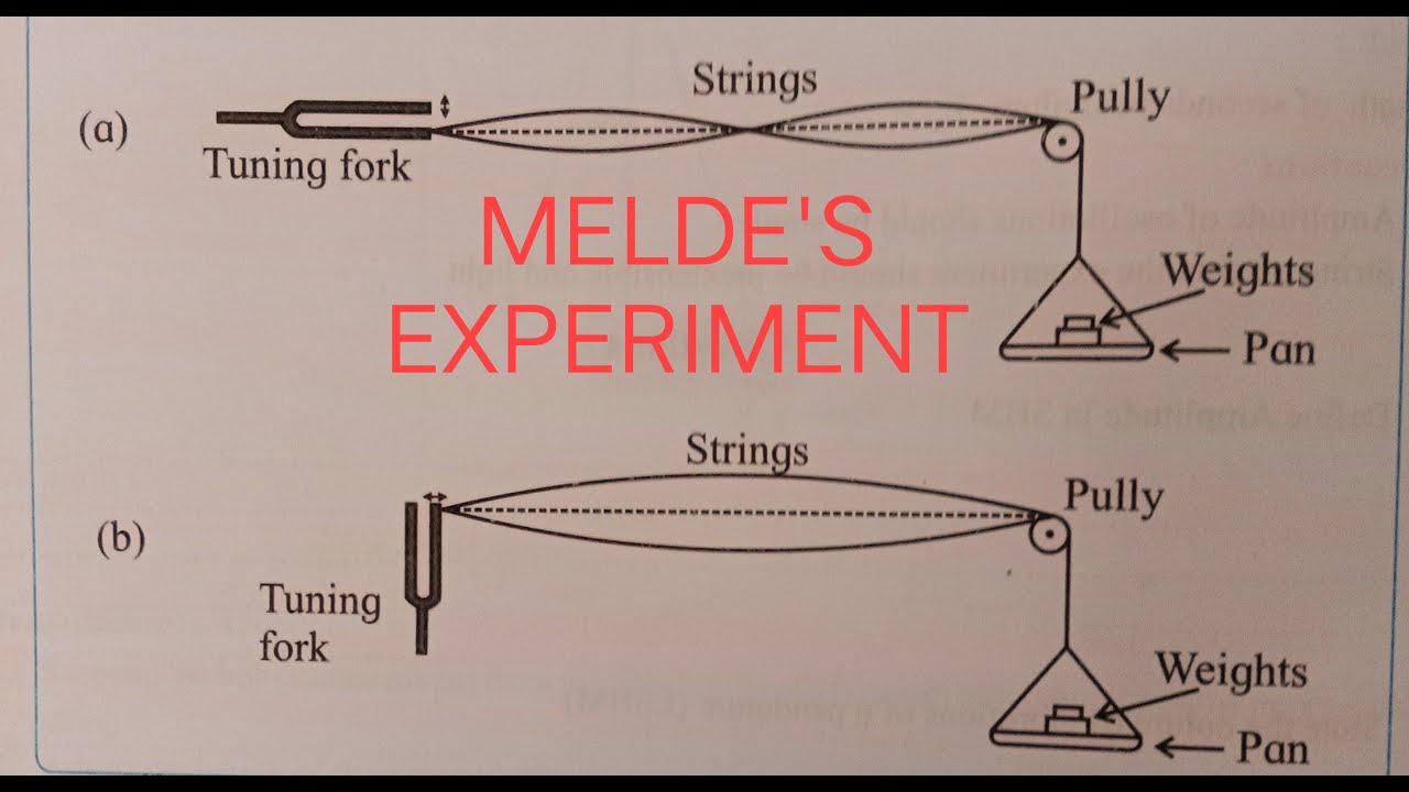 Activity on Melde's Experiment - YouTube