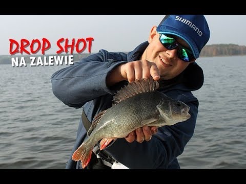 DROP SHOT na zalewie-okonie i sandacze na spinning | Wędkarstwo - YouTube