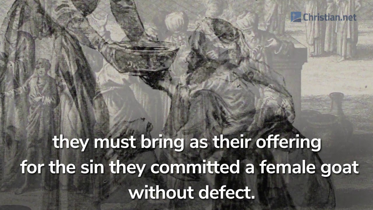 Leviticus 4 - 5:13: Israelites Sin Offering | Bible Stories - YouTube