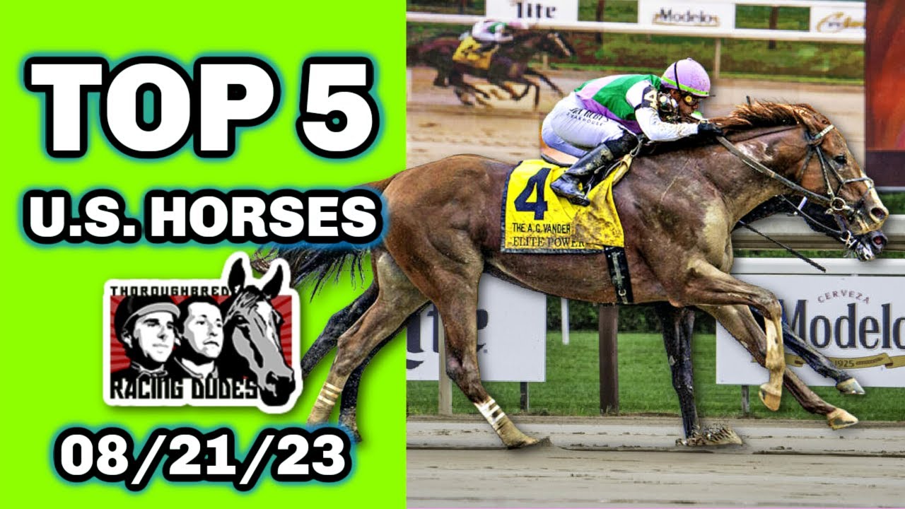 Top 5 Best Horses Right Now | ELITE POWER In Danger Of Losing Top Spot ...